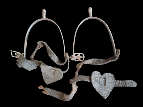 Pinteni militari românești, perioada regalității - Historiarum