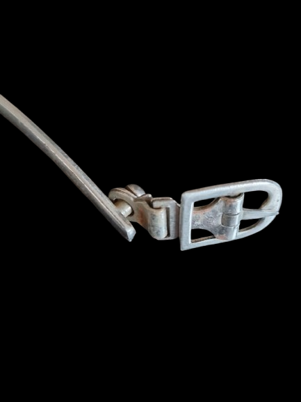 Pinteni militari românești, perioada regalității - Historiarum