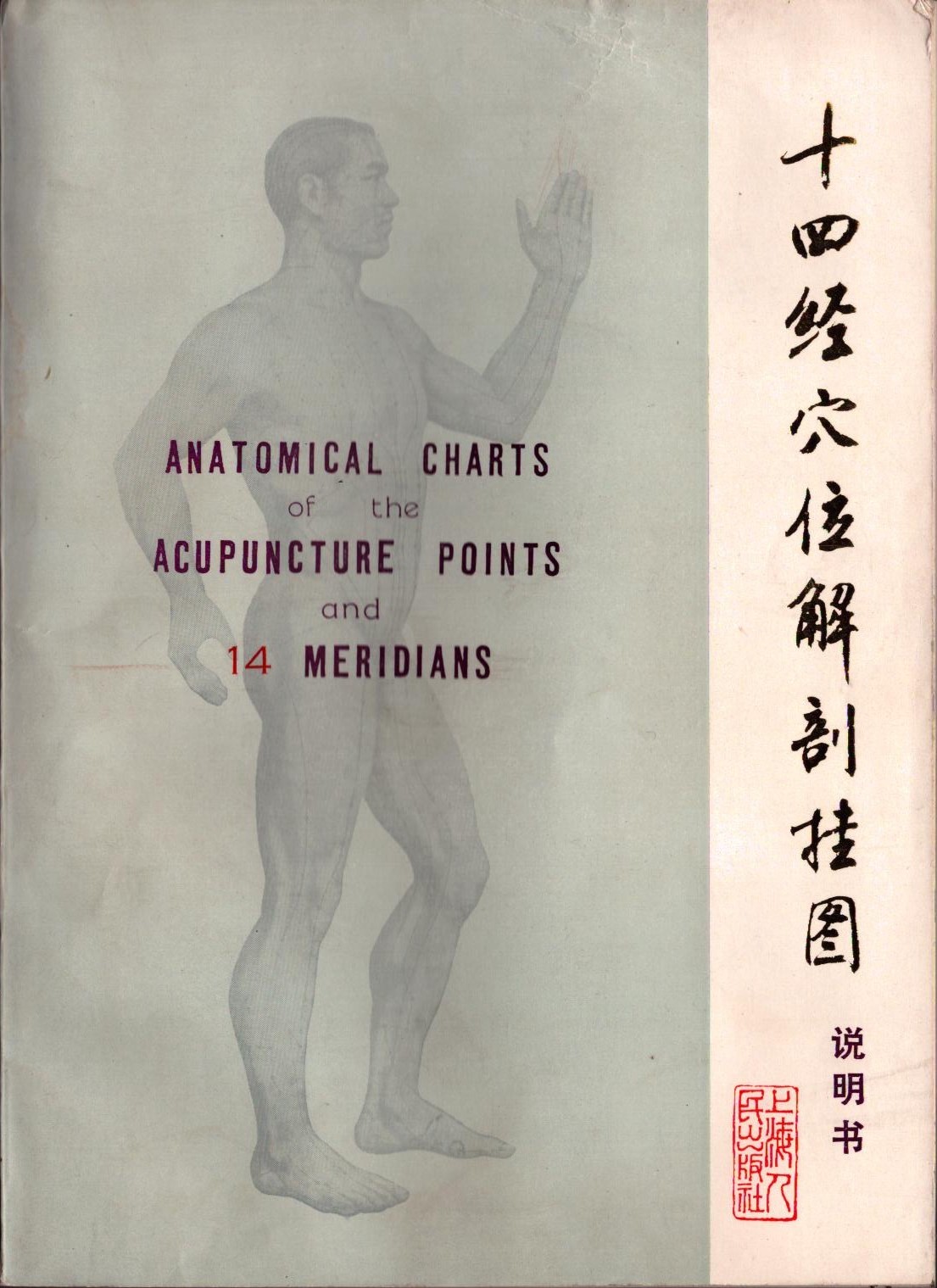 Anatomical charts of the acupuncture points and 14 meridians, Chinese ...